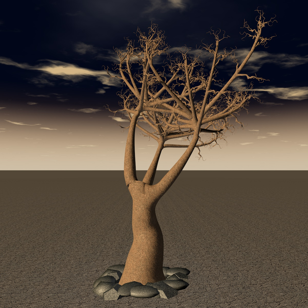 dry dragon tree 3d model