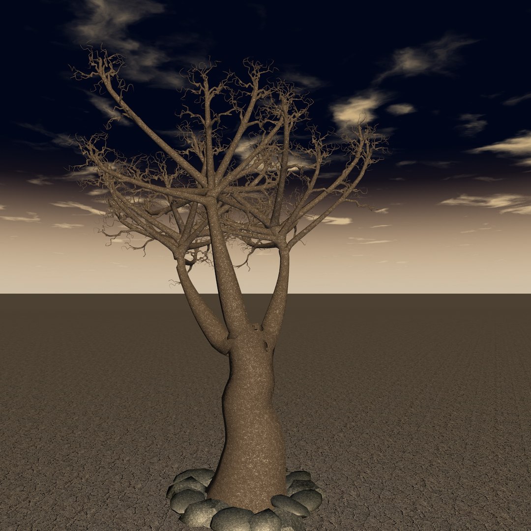 dry dragon tree 3d model