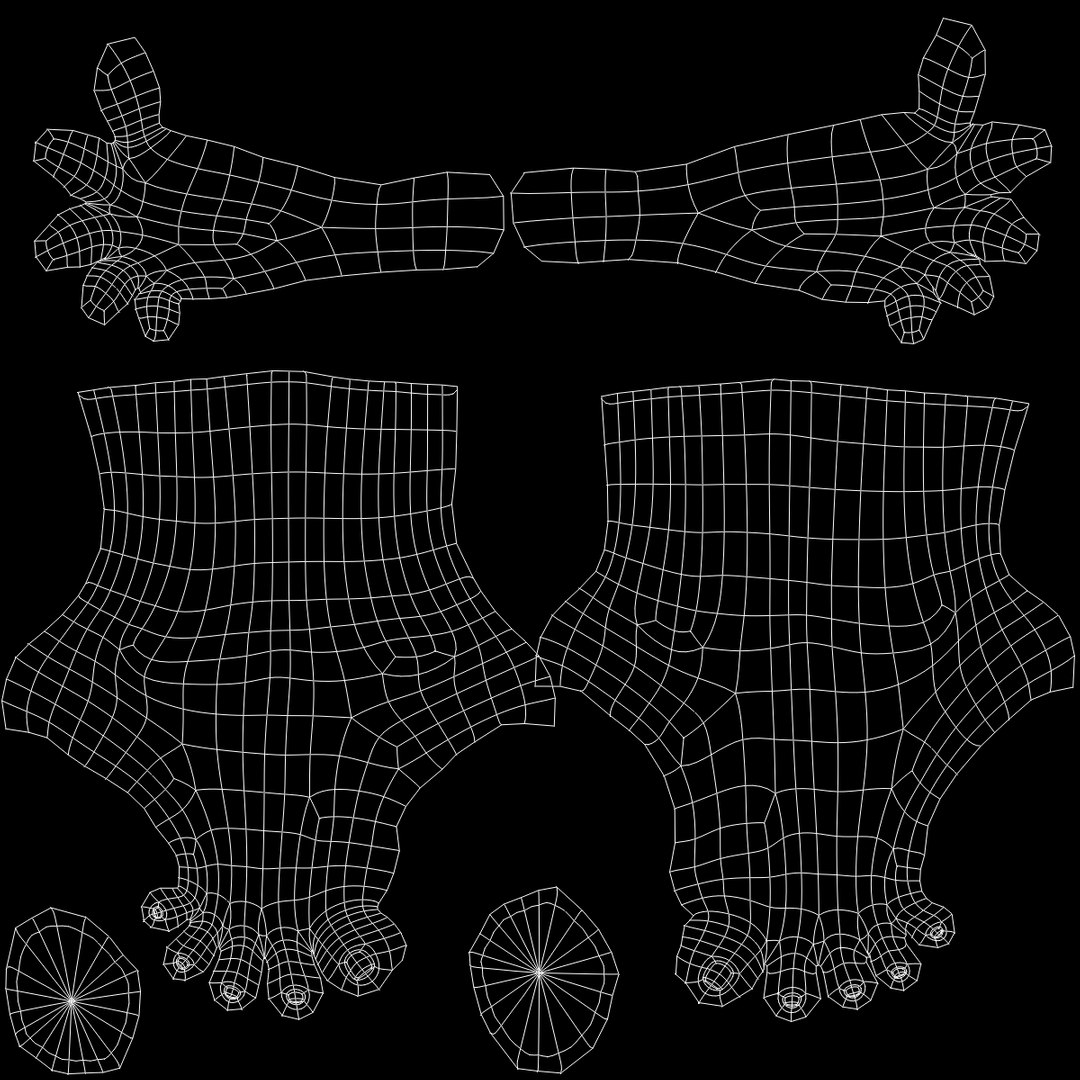 Modeled Body Female Anatomy Human 3d Model