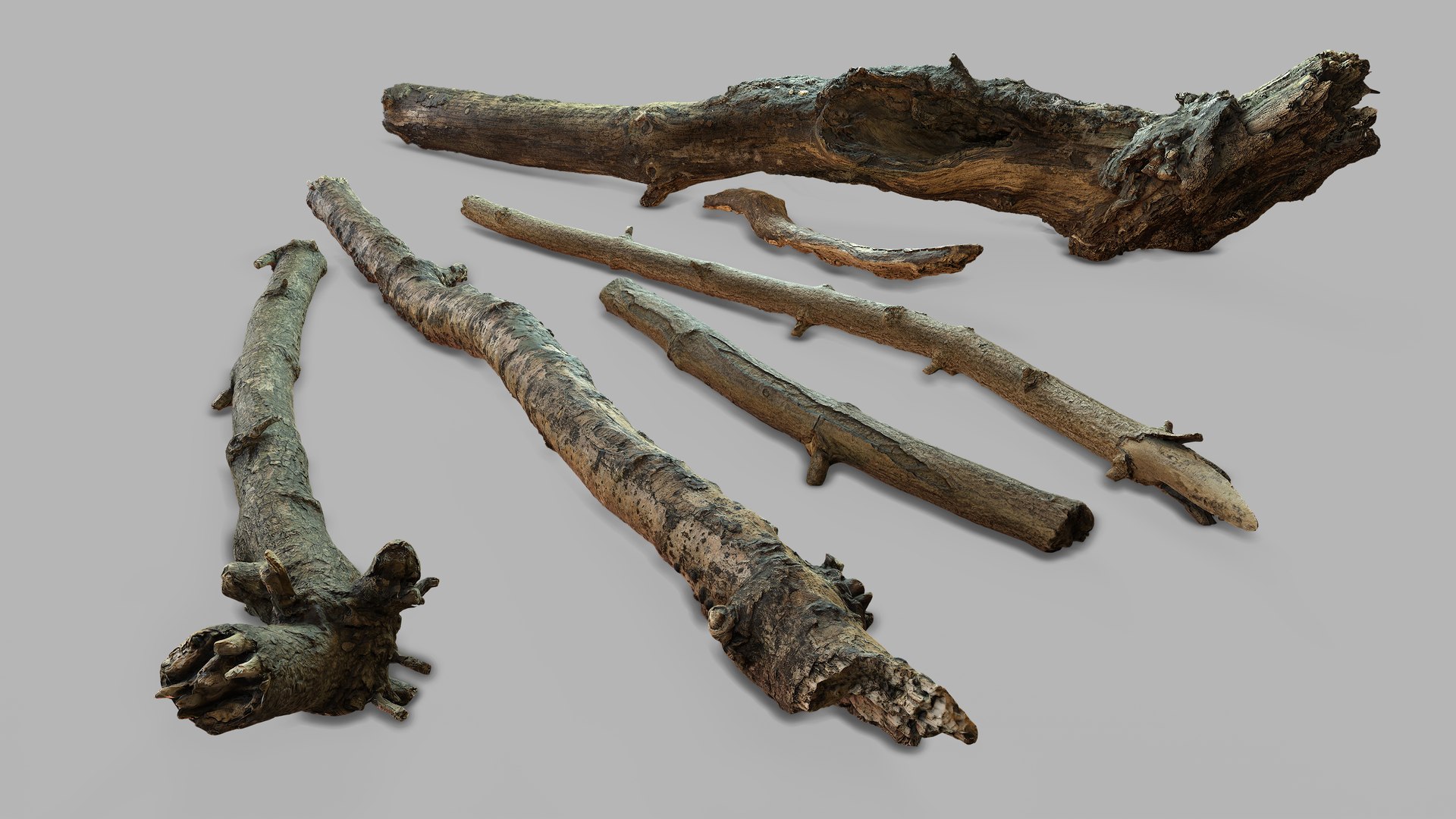 3D Photogrammetry Sticks Model - TurboSquid 1522271