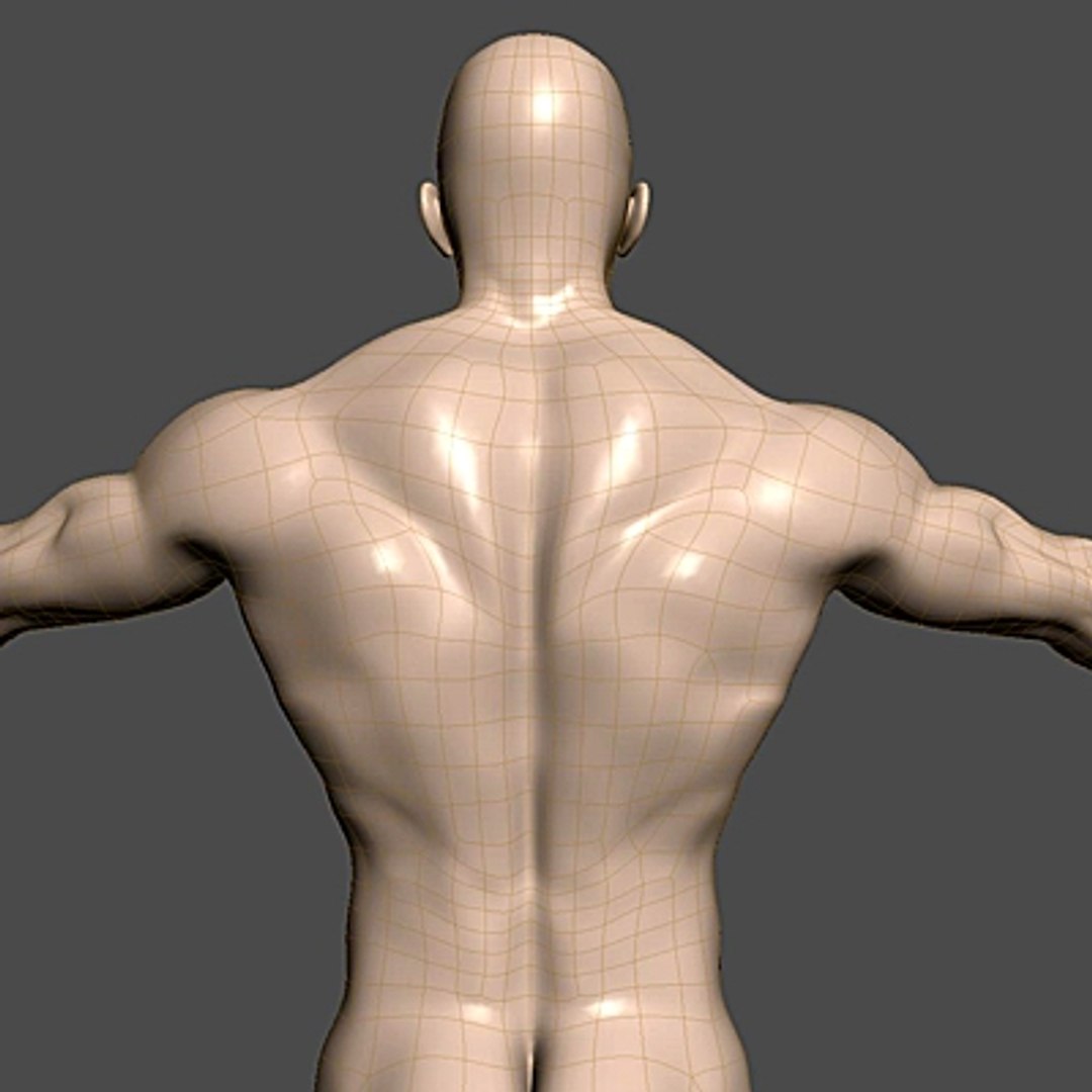 Man Rigging 3d Model