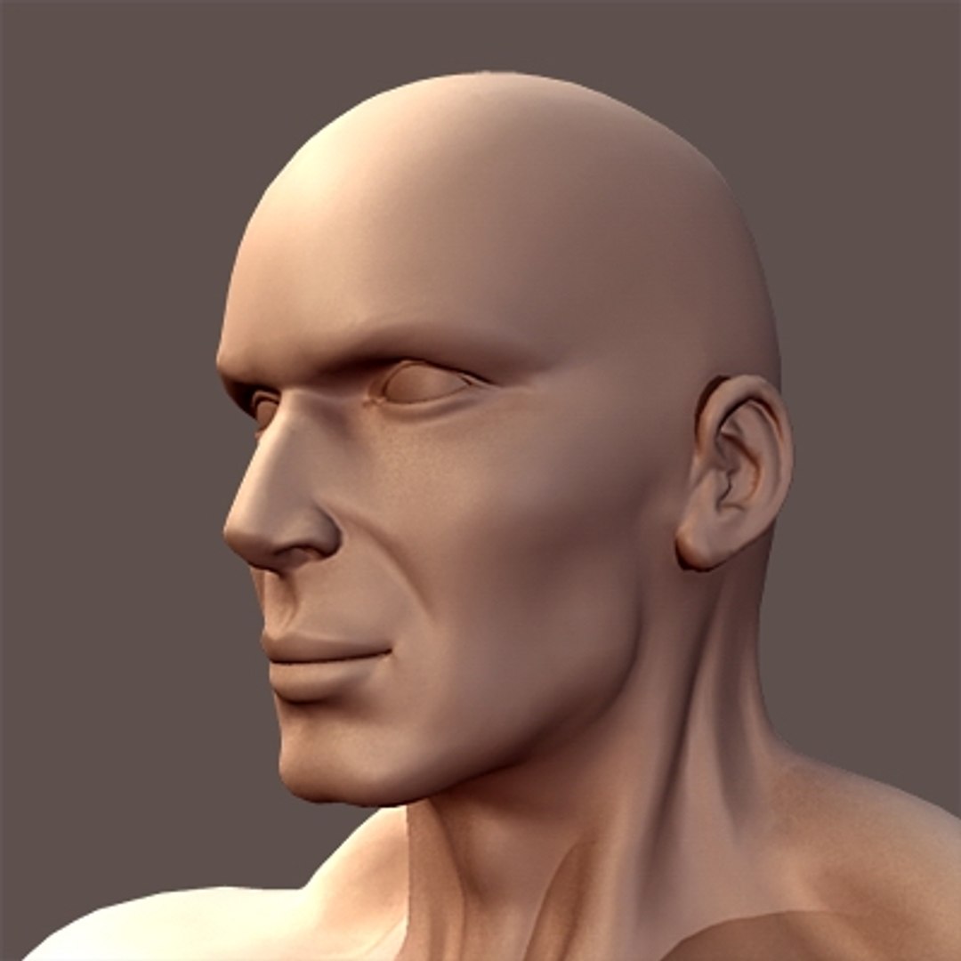 Man Rigging 3d Model