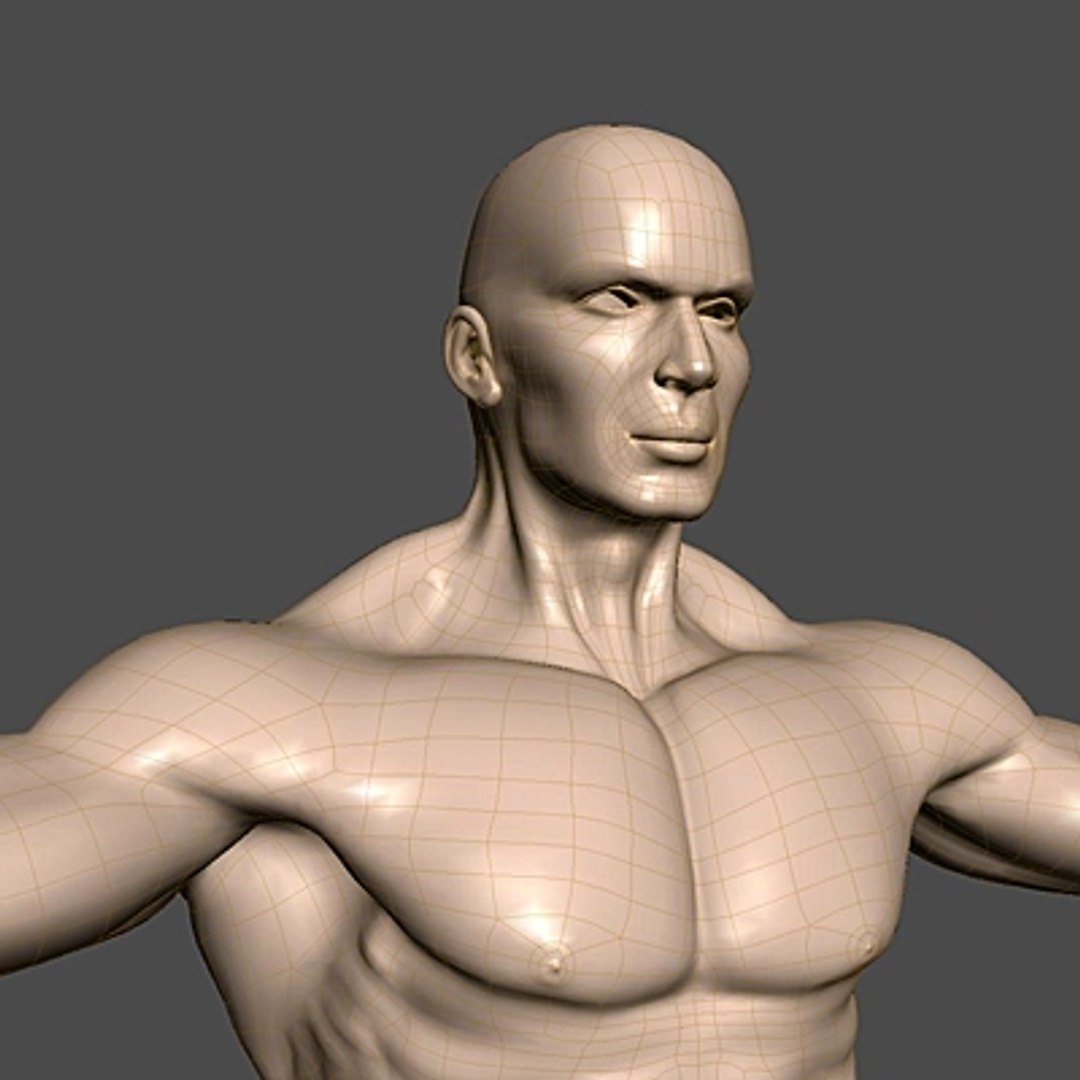 Man Rigging 3d Model