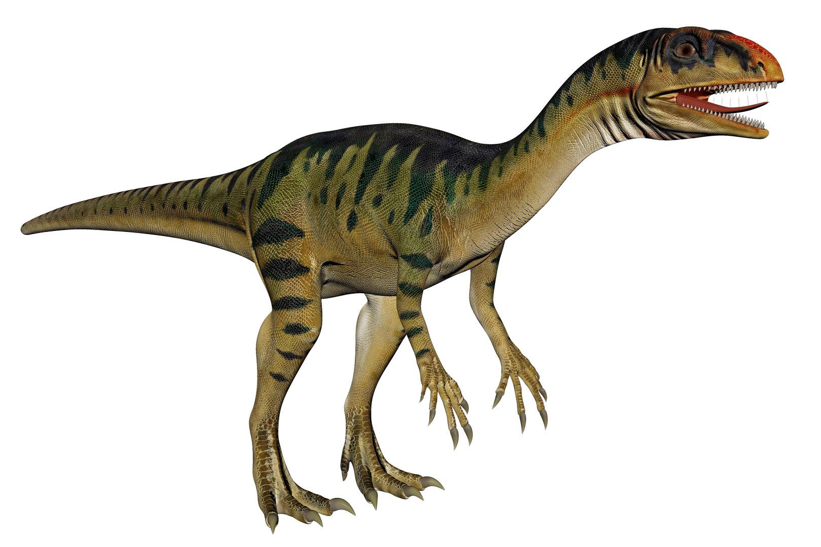 3D Model Thecodontosaurus Dinosaur Triassic Animal - TurboSquid 2330122