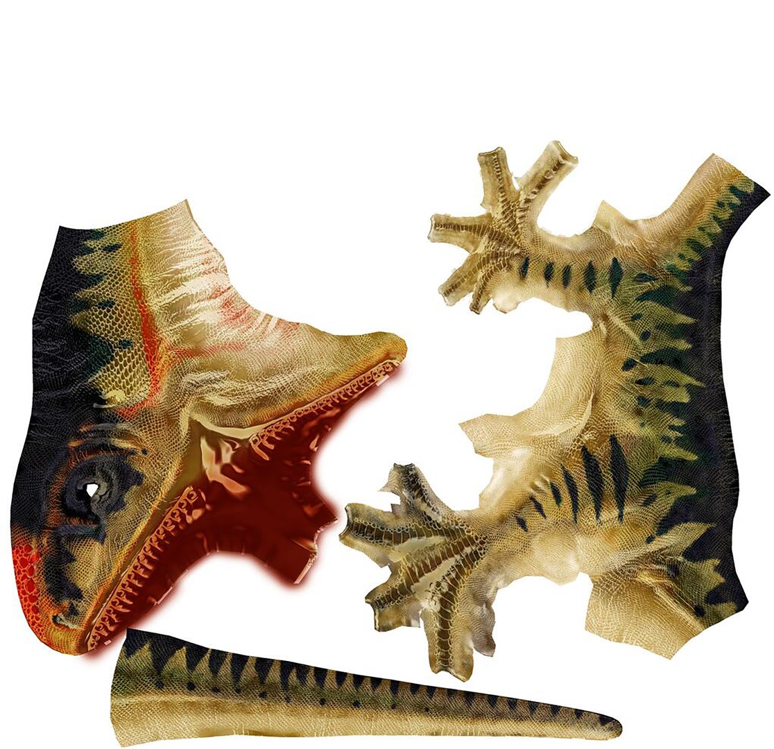 3D Model Thecodontosaurus Dinosaur Triassic Animal - TurboSquid 2330122