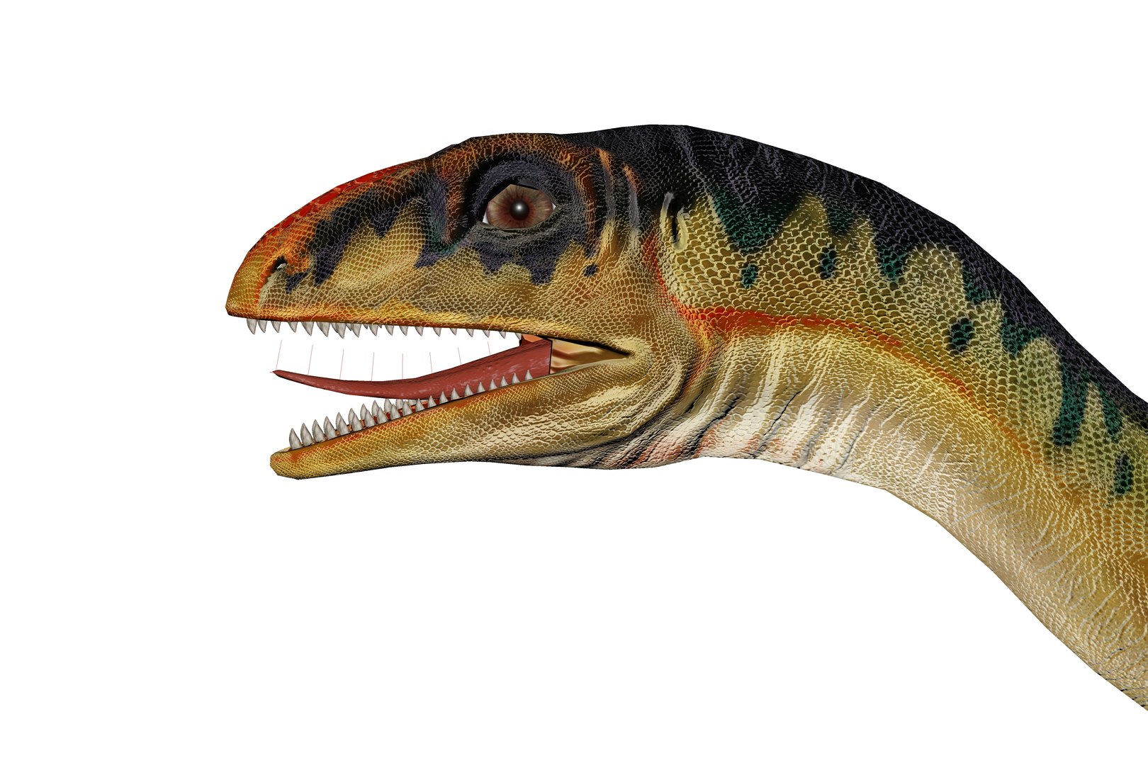 3D Model Thecodontosaurus Dinosaur Triassic Animal - TurboSquid 2330122