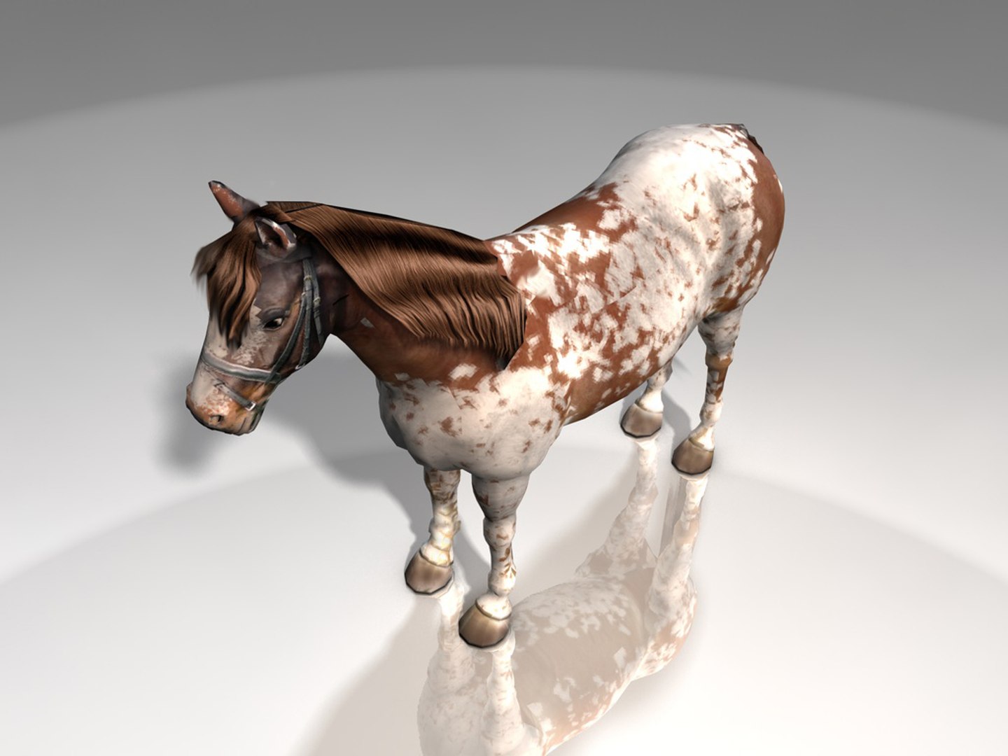 3d pinto horse model