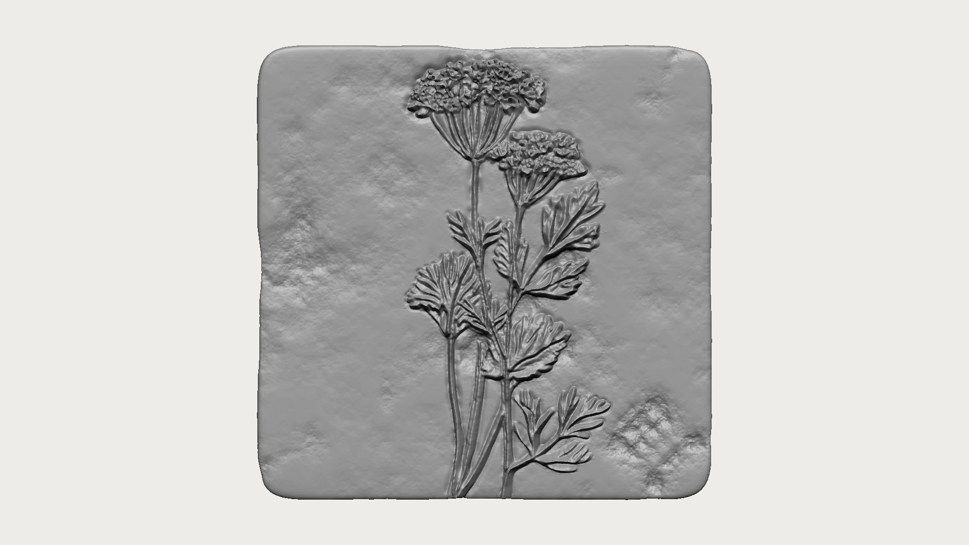 Yarrow Relief 3D Model - TurboSquid 1851514