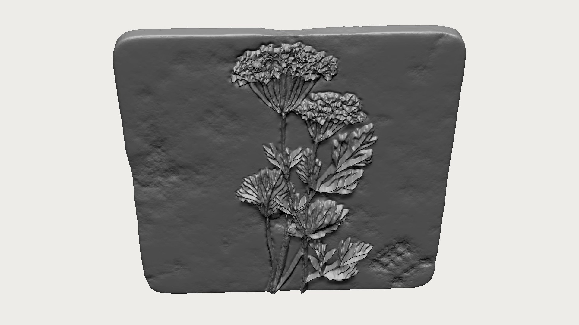 Yarrow Relief 3D Model - TurboSquid 1851514