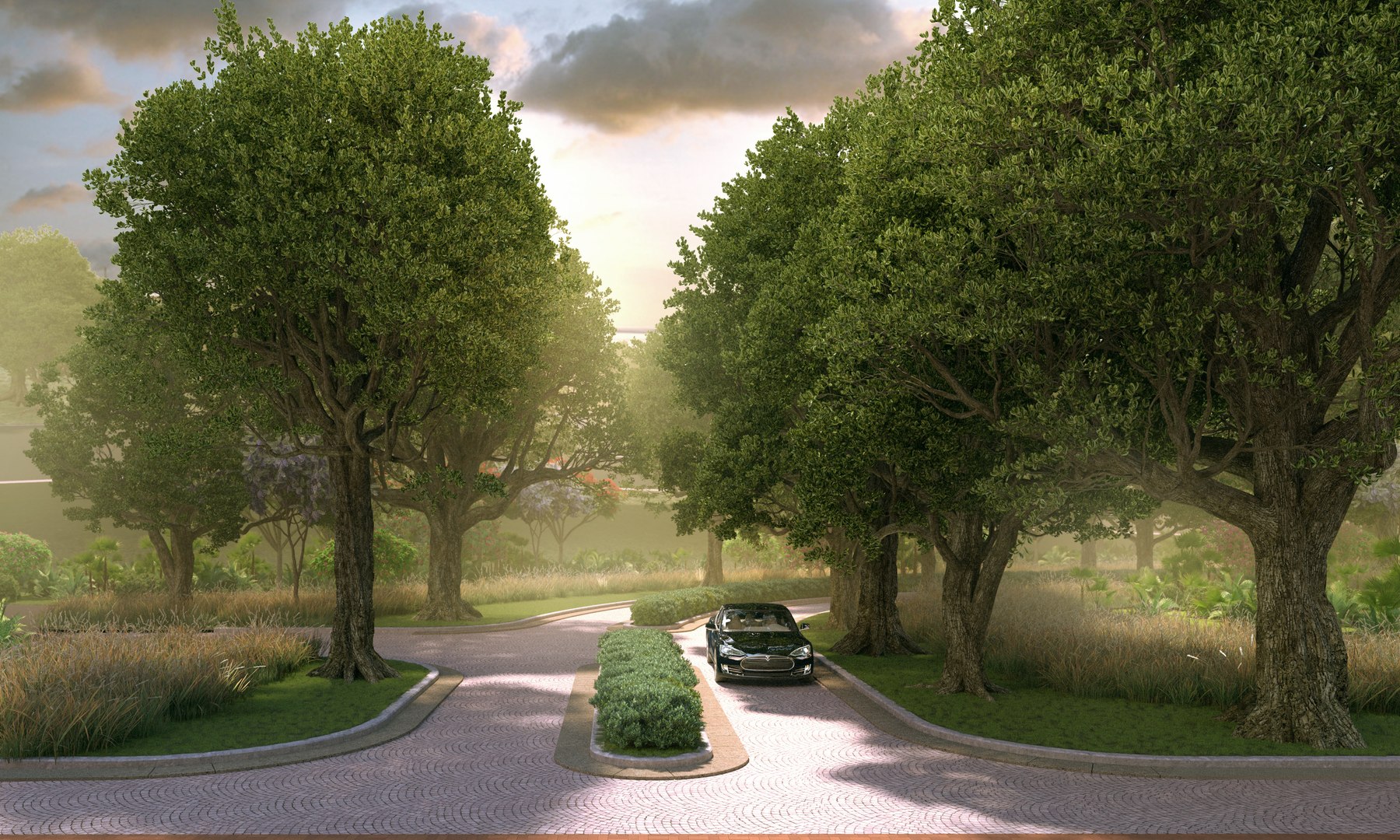 Coast Live Oak Quercus 3D Model - TurboSquid 1692858