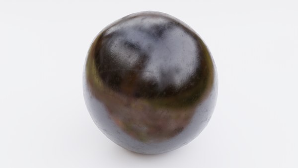 modelo 3d Perla Negra - TurboSquid 2049074