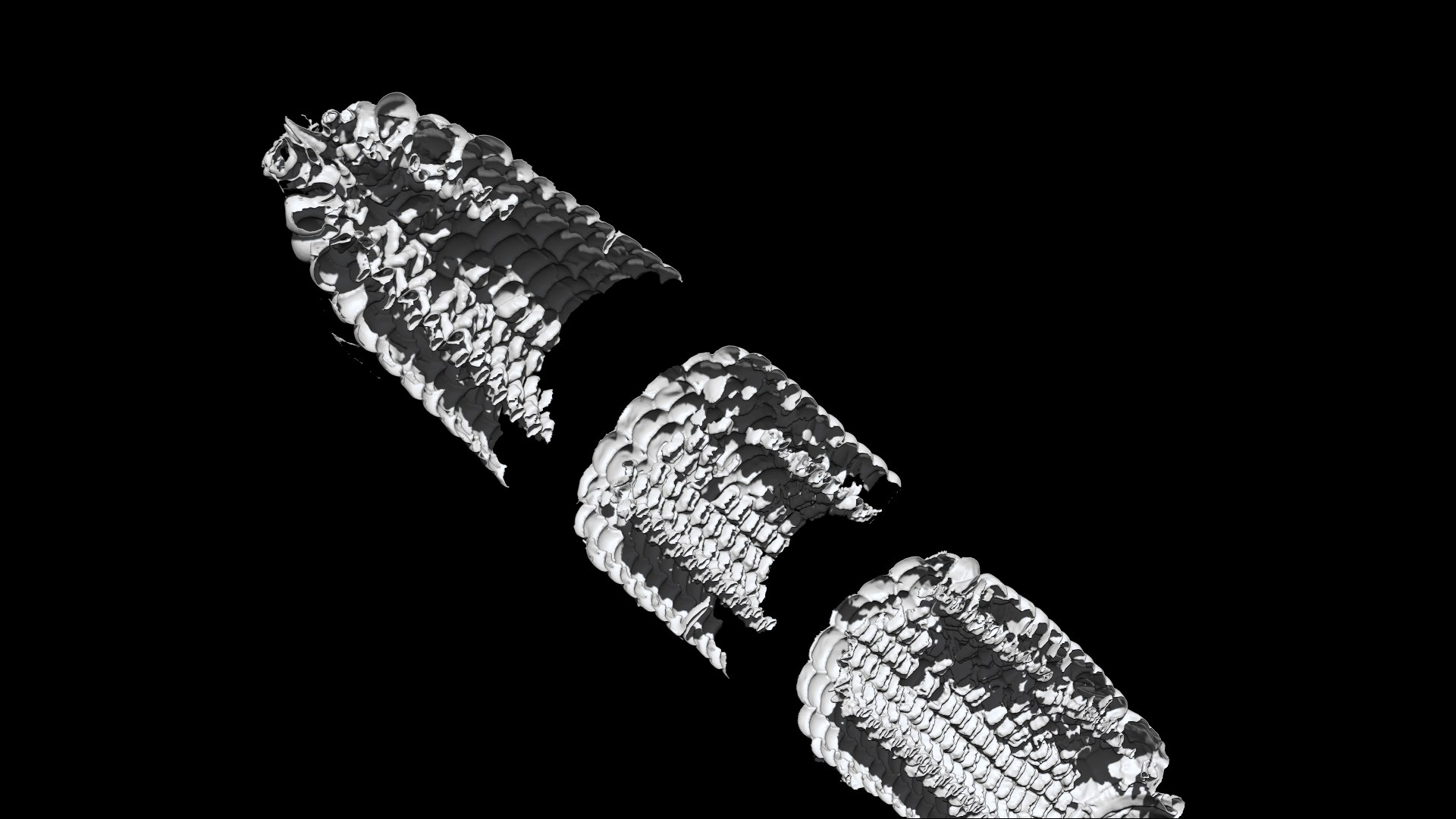 3D Corn 3D CT Scan Model Cut3 Half Decimate 80 Percent - TurboSquid 1945278