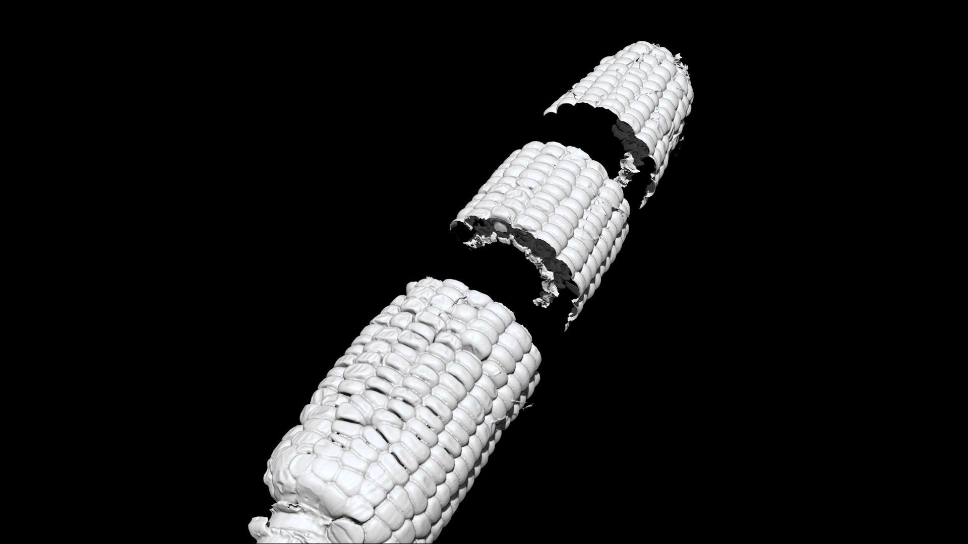 3D Corn 3D CT Scan Model Cut3 Half Decimate 80 Percent - TurboSquid 1945278