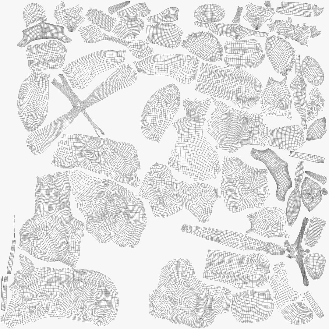 3D model Human Female Nervous System - TurboSquid 2010734