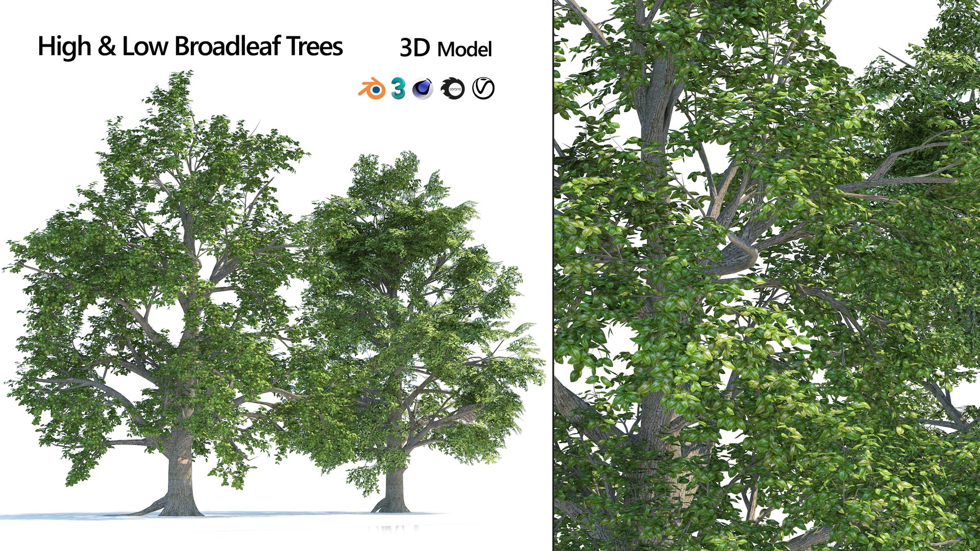 3D 2 Landscape Broadleaf Trees Model - TurboSquid 2044017