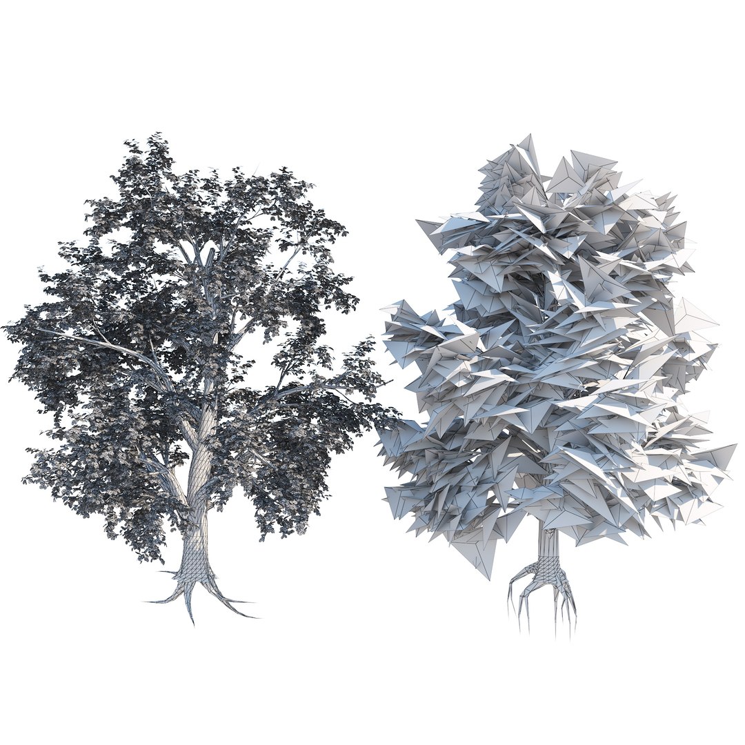 3D 2 Landscape Broadleaf Trees Model - TurboSquid 2044017