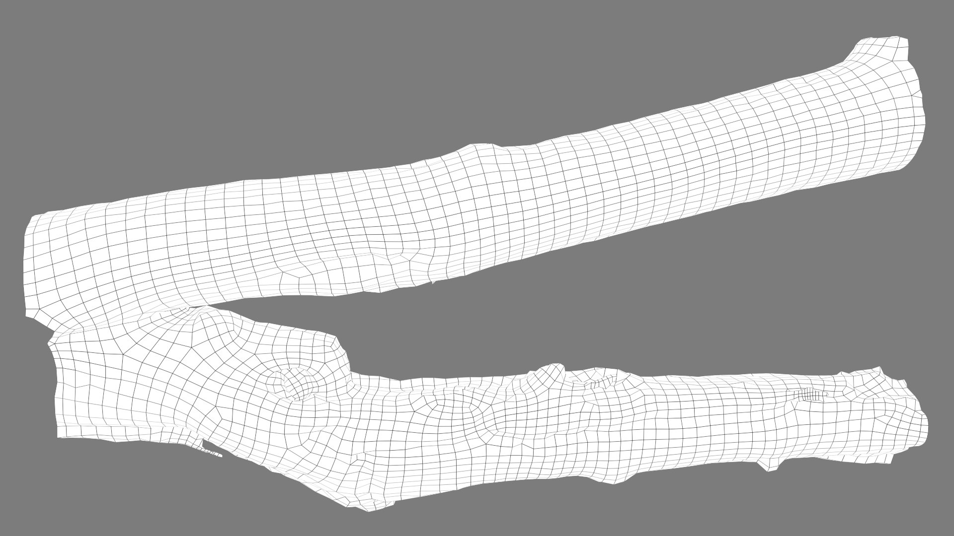 Scanned Tree Trunk 07 Model - TurboSquid 2116096