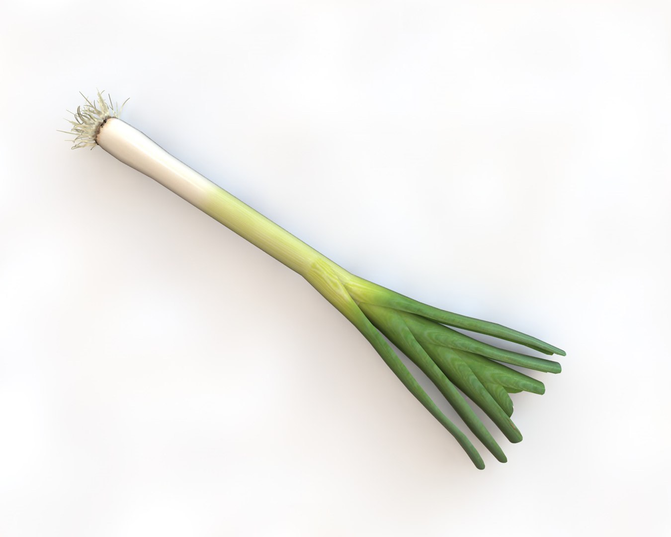 3D Leeks - TurboSquid 1544539