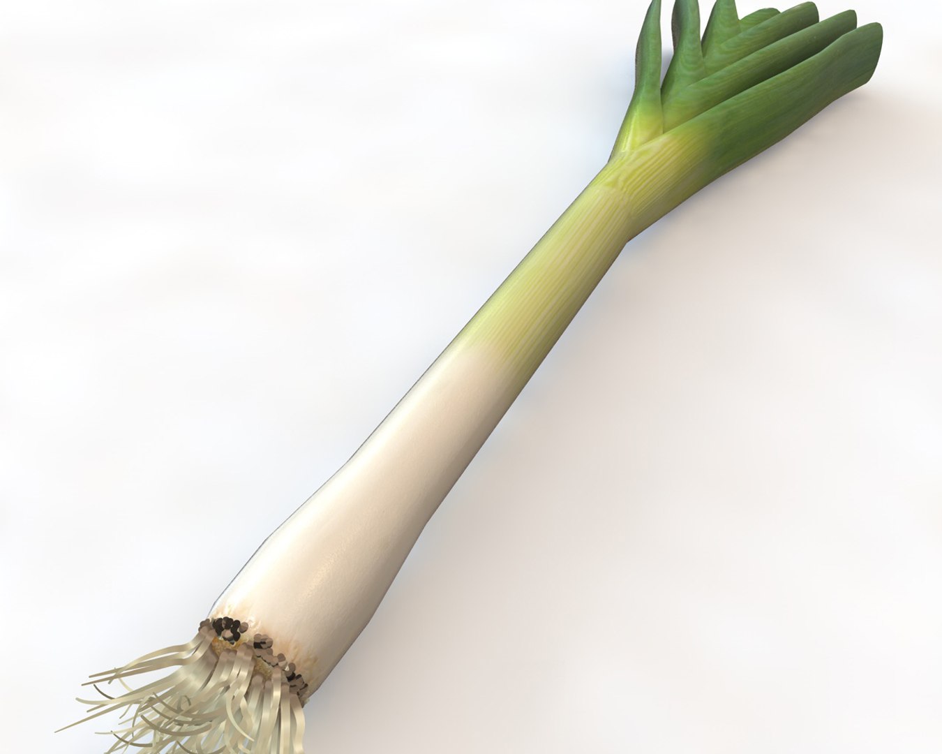 3D Leeks - TurboSquid 1544539