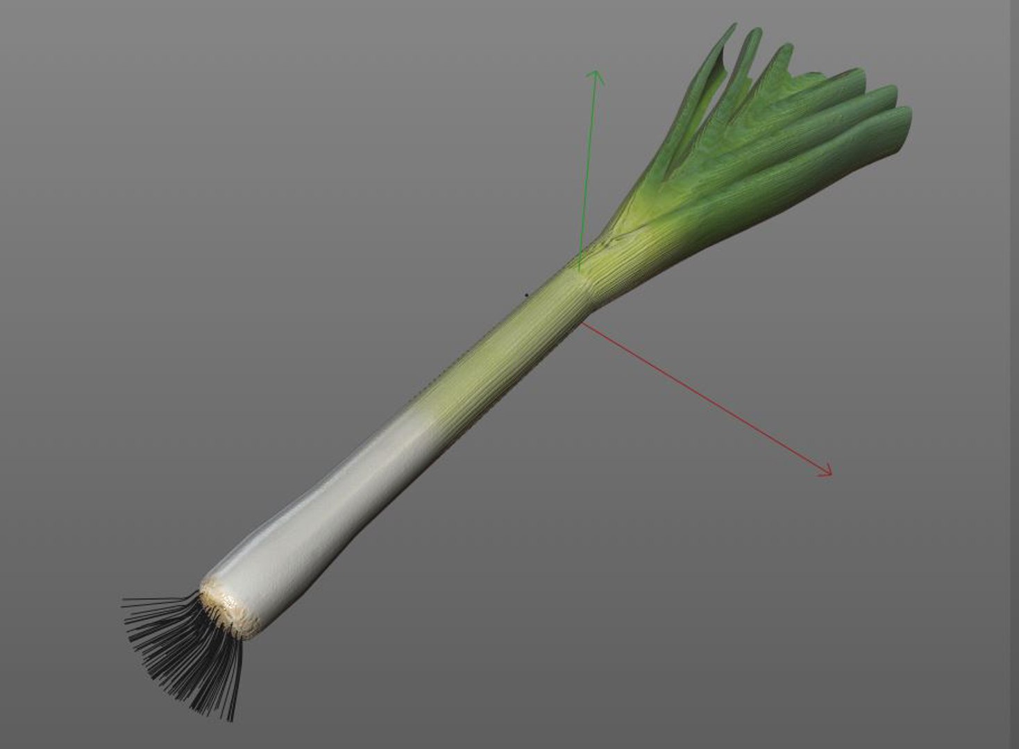3D Leeks - TurboSquid 1544539