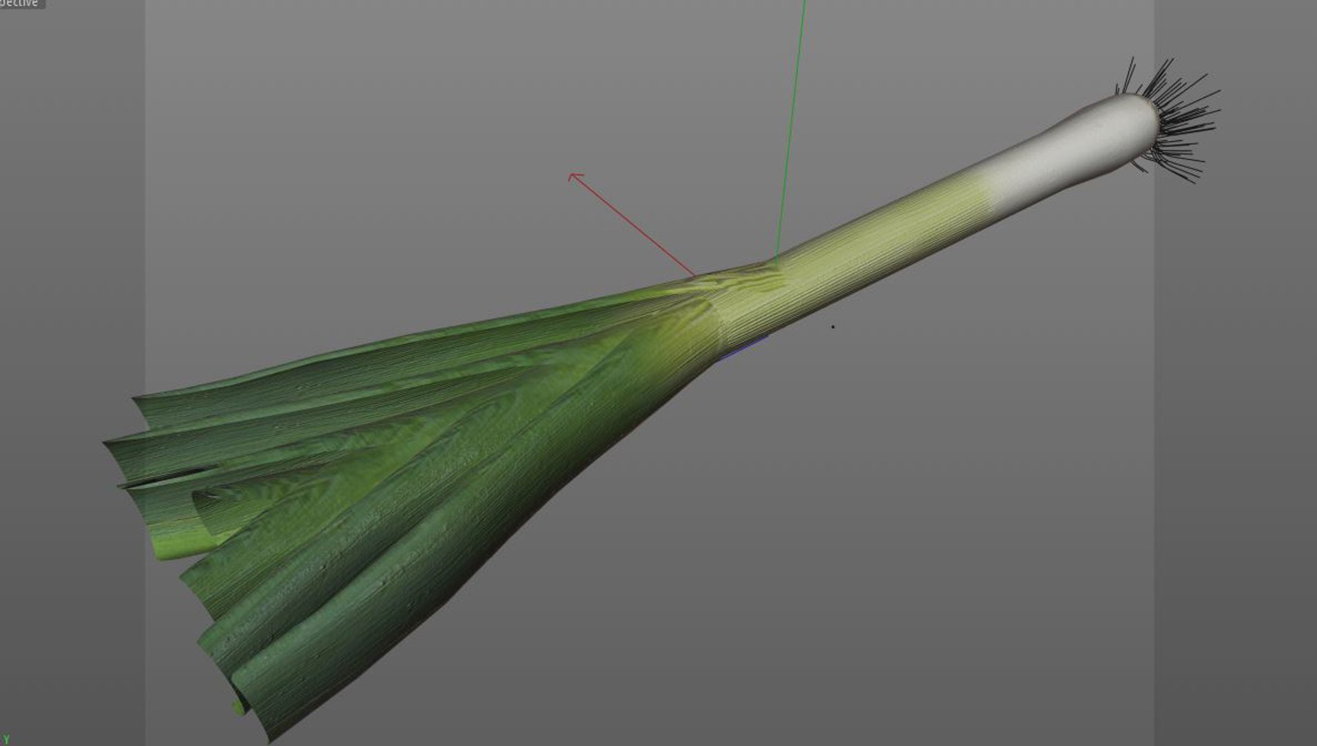 3D Leeks - TurboSquid 1544539