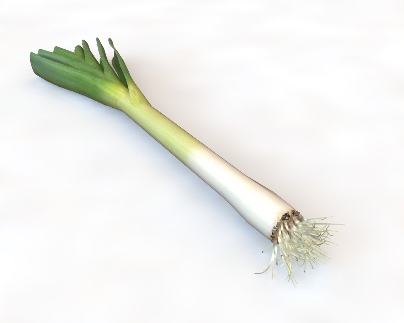 3D Leeks - TurboSquid 1544539