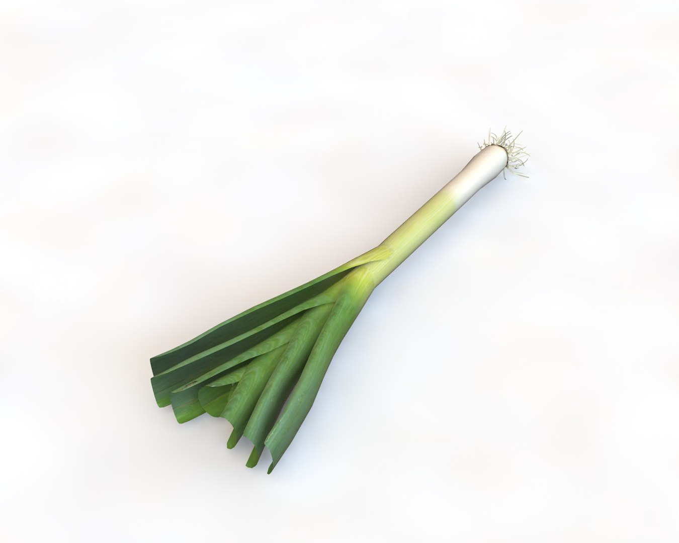 3D Leeks - TurboSquid 1544539