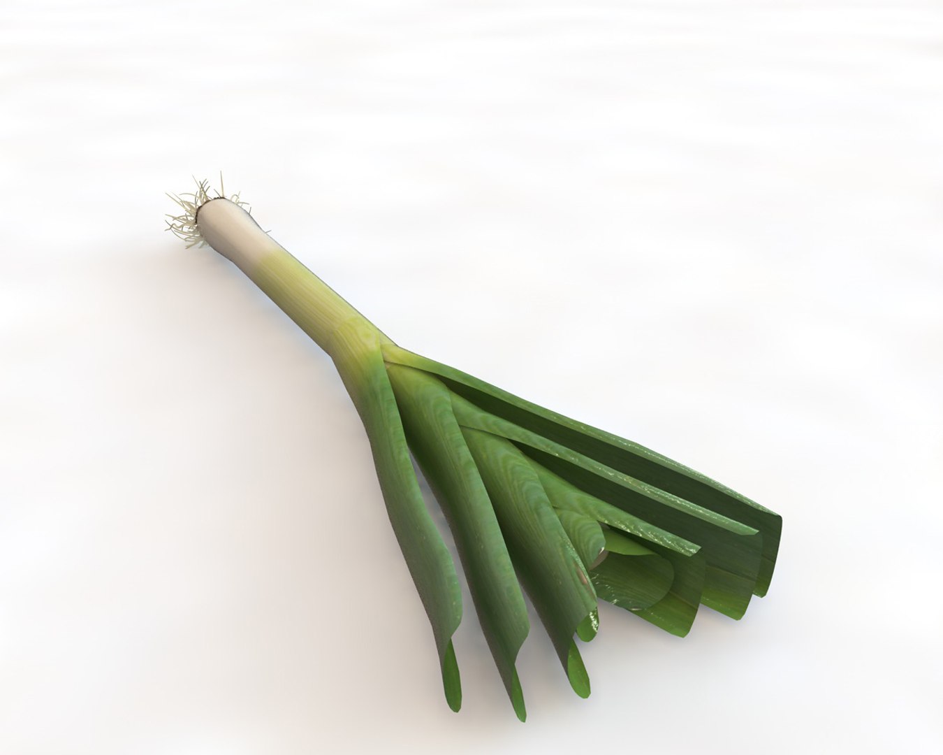 3D Leeks - TurboSquid 1544539