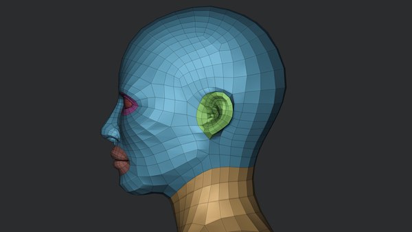 Free 3D Free Bust Head Base Mesh model - TurboSquid 1832518