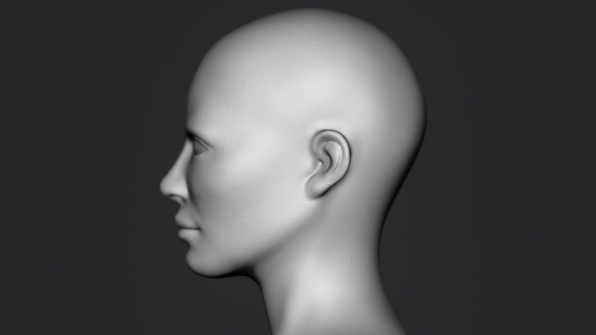 Free 3D Free Bust Head Base Mesh Model - TurboSquid 1832518