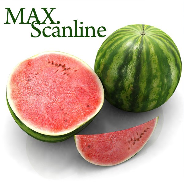 watermelon water melon 3d model