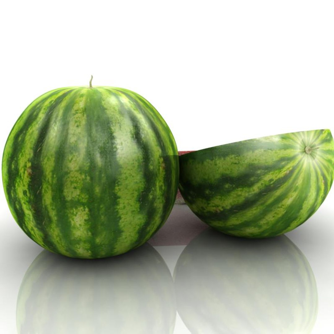 Watermelon Water Melon 3d Model