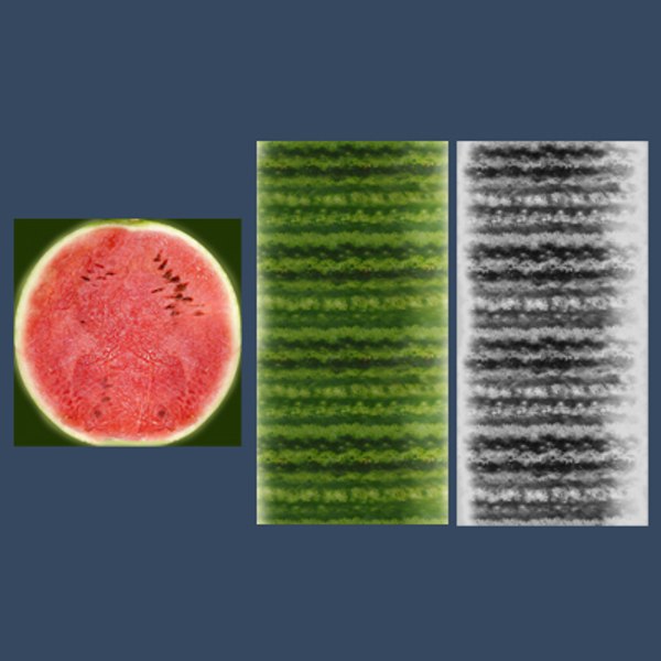 watermelon water melon 3d model
