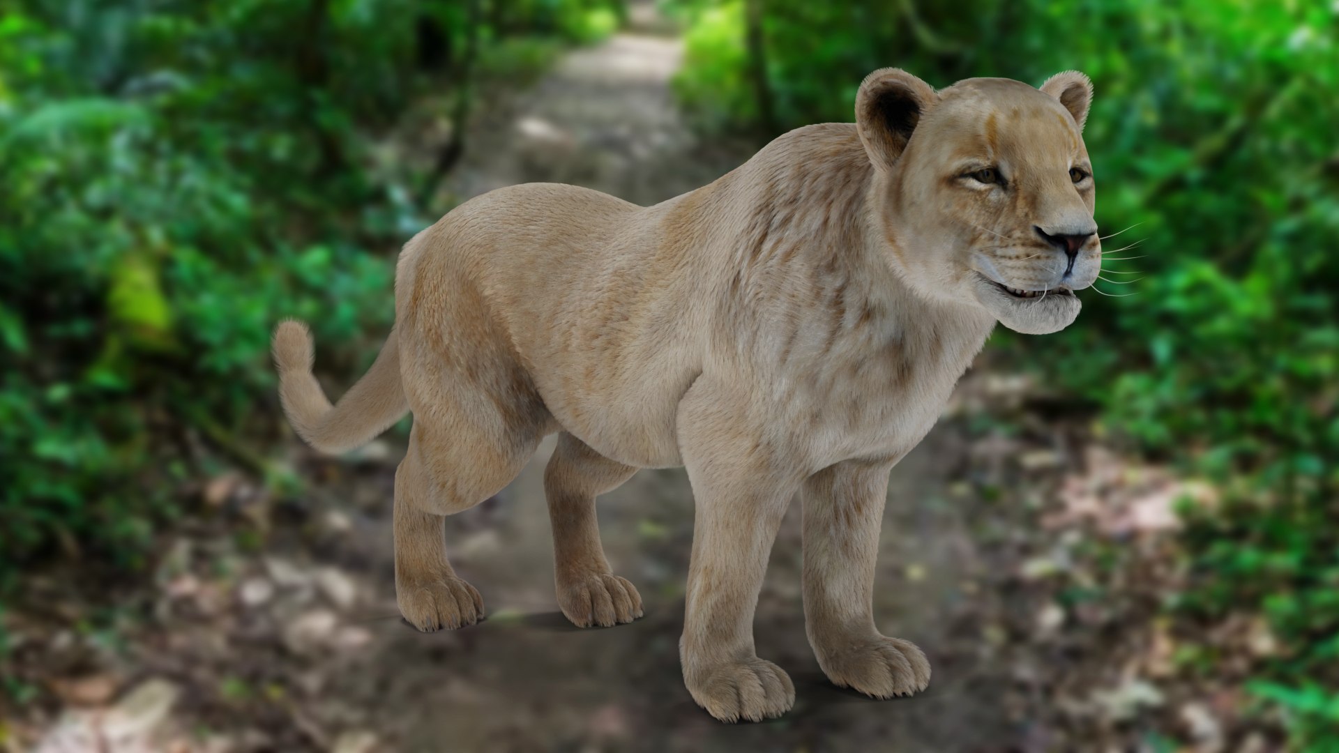 3D Fur Lioness Rigged And Animation In Unity - TurboSquid 2034254