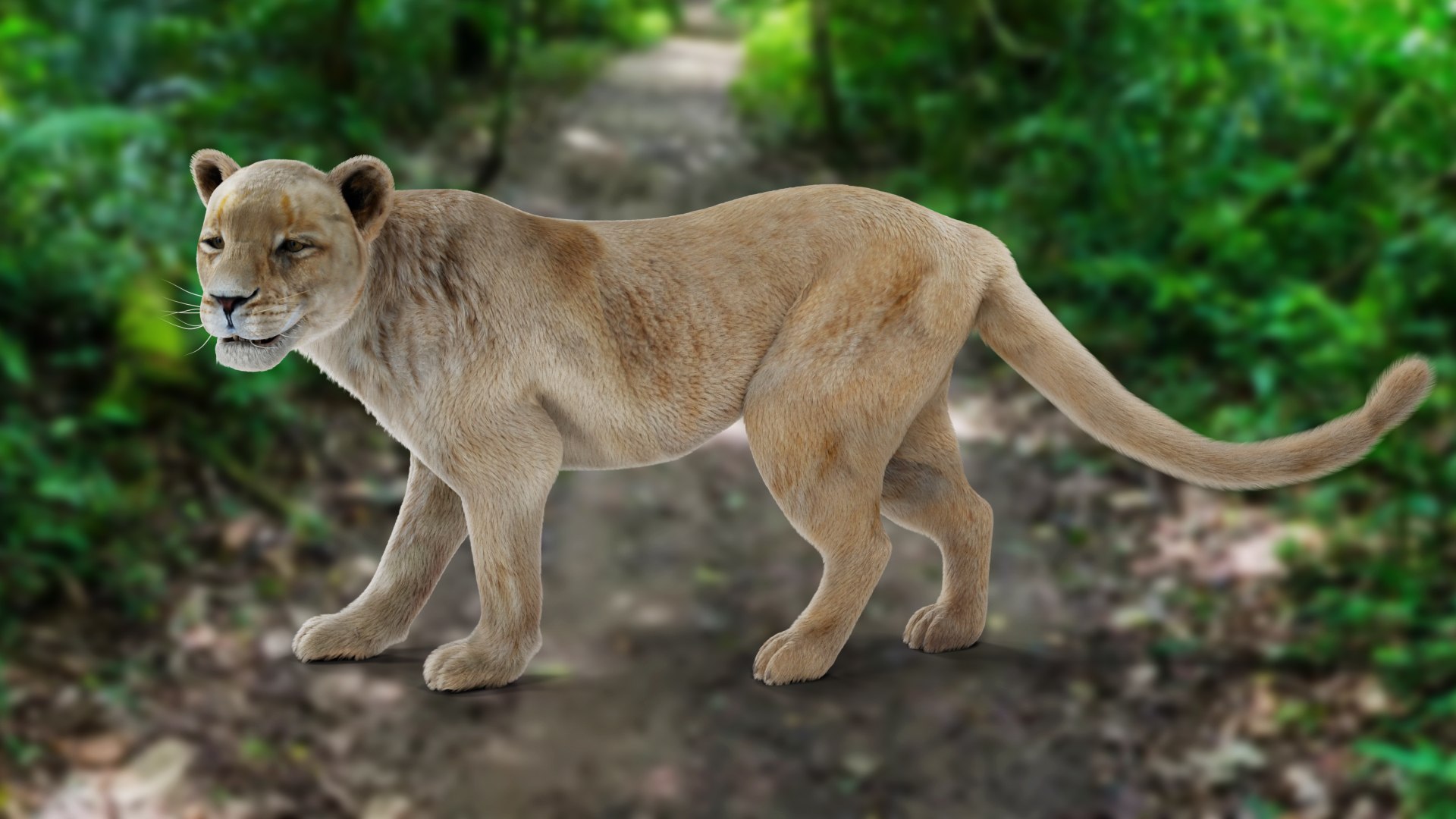 3D Fur Lioness Rigged And Animation In Unity - TurboSquid 2034254
