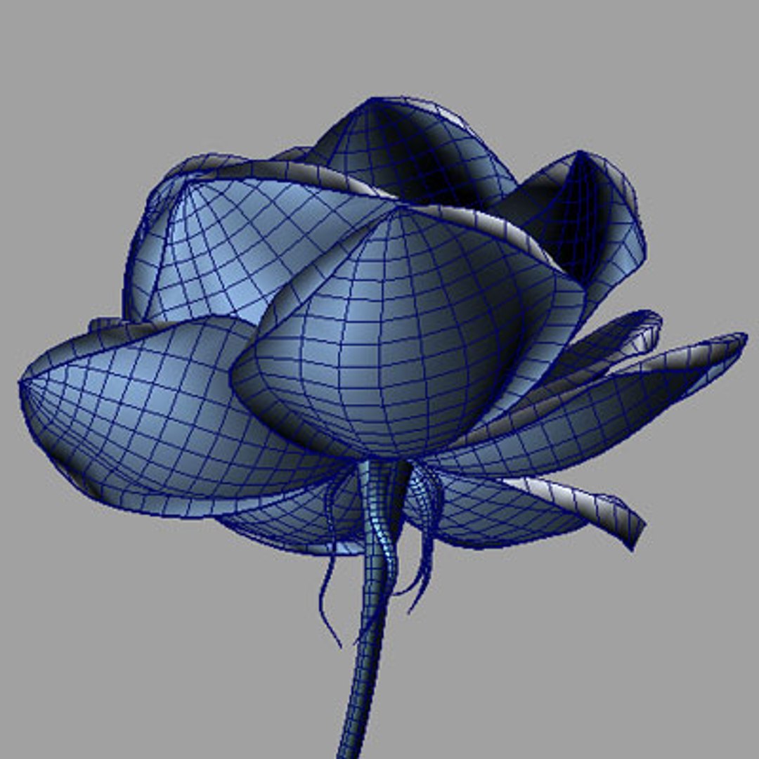 Rose Flower 3d Obj