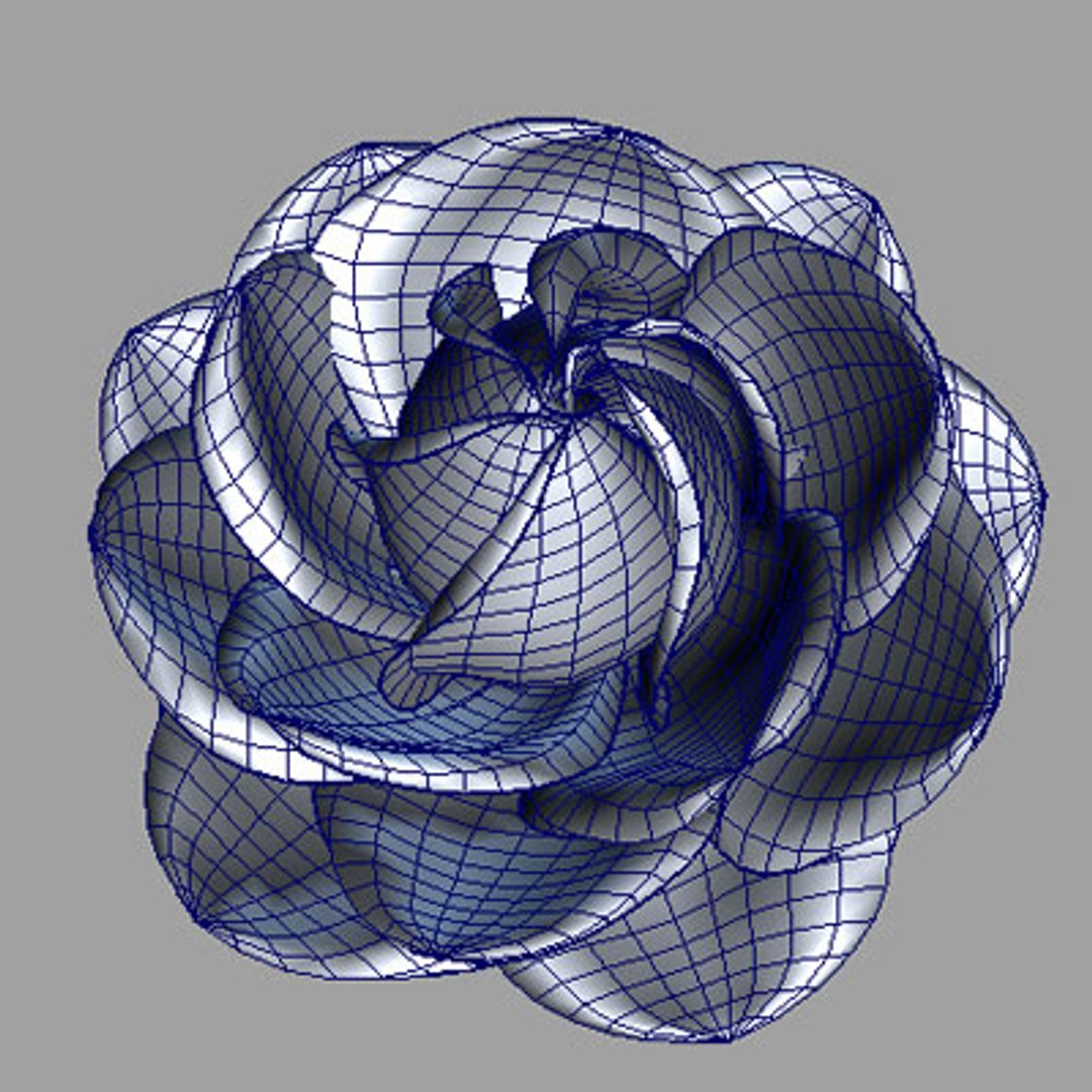 Rose Flower 3d Obj