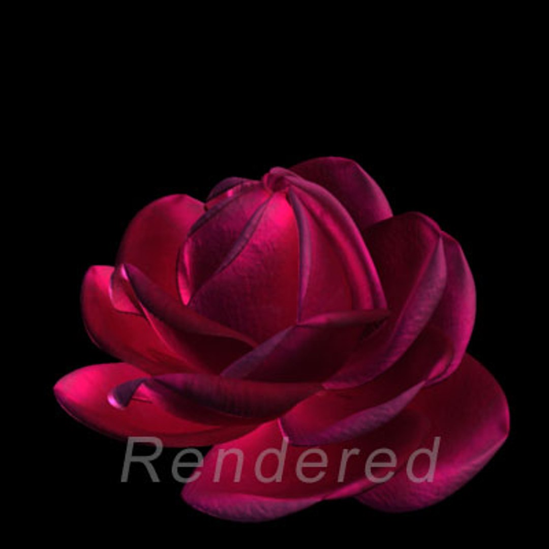 Rose Flower 3d Obj