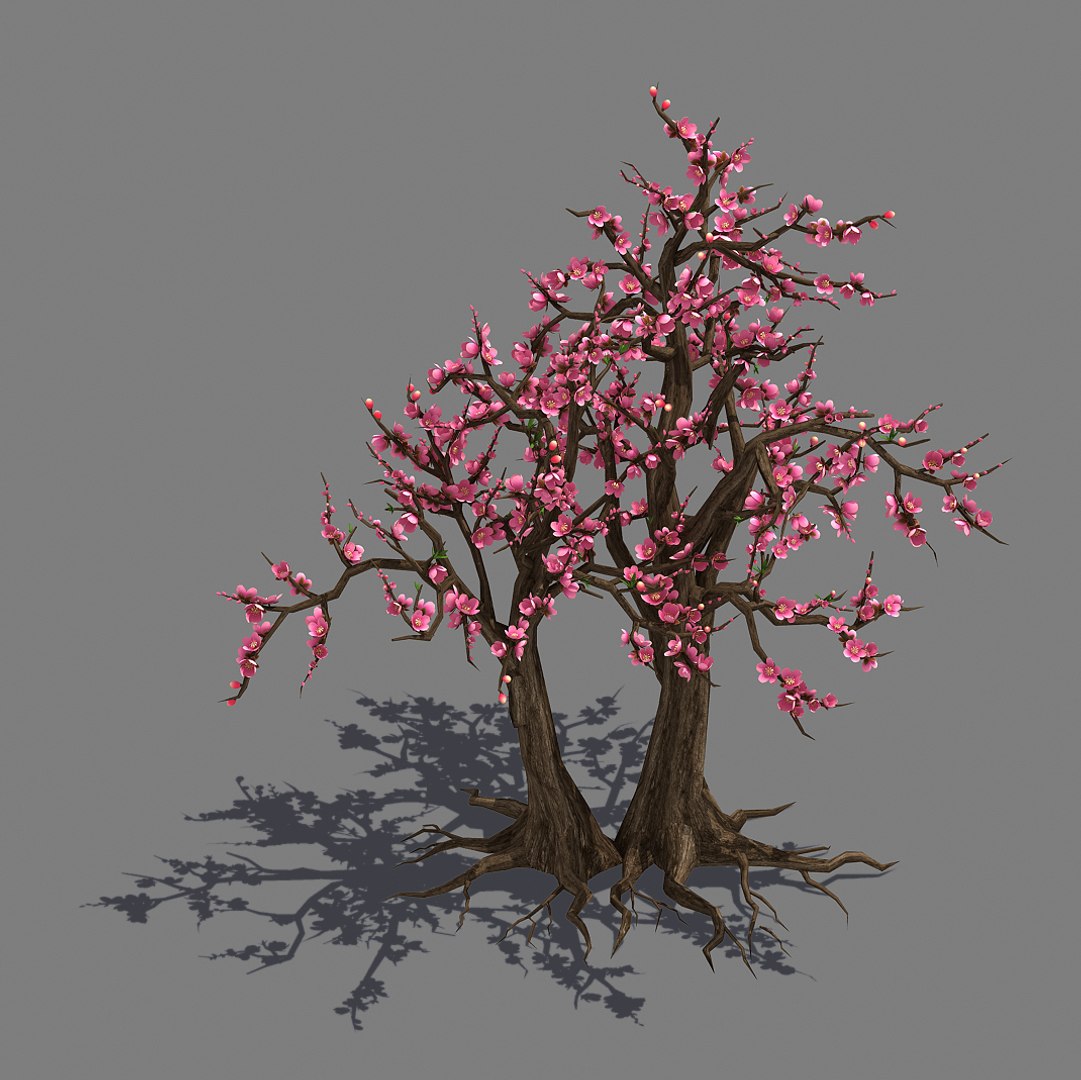 3D Peach Tree 336 Model - TurboSquid 1449264