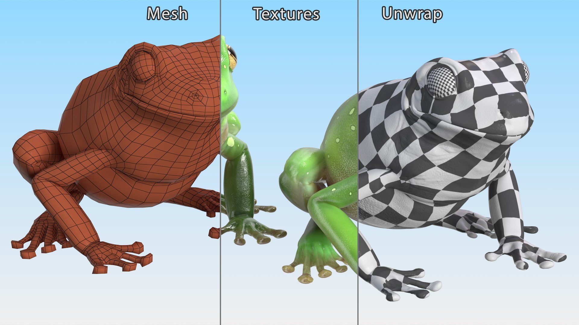 3D Realistic Green Tree Frog Model - TurboSquid 2249637