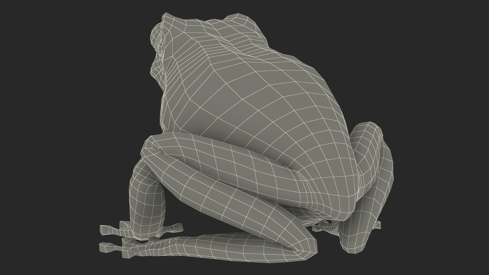 3D Realistic Green Tree Frog Model - TurboSquid 2249637