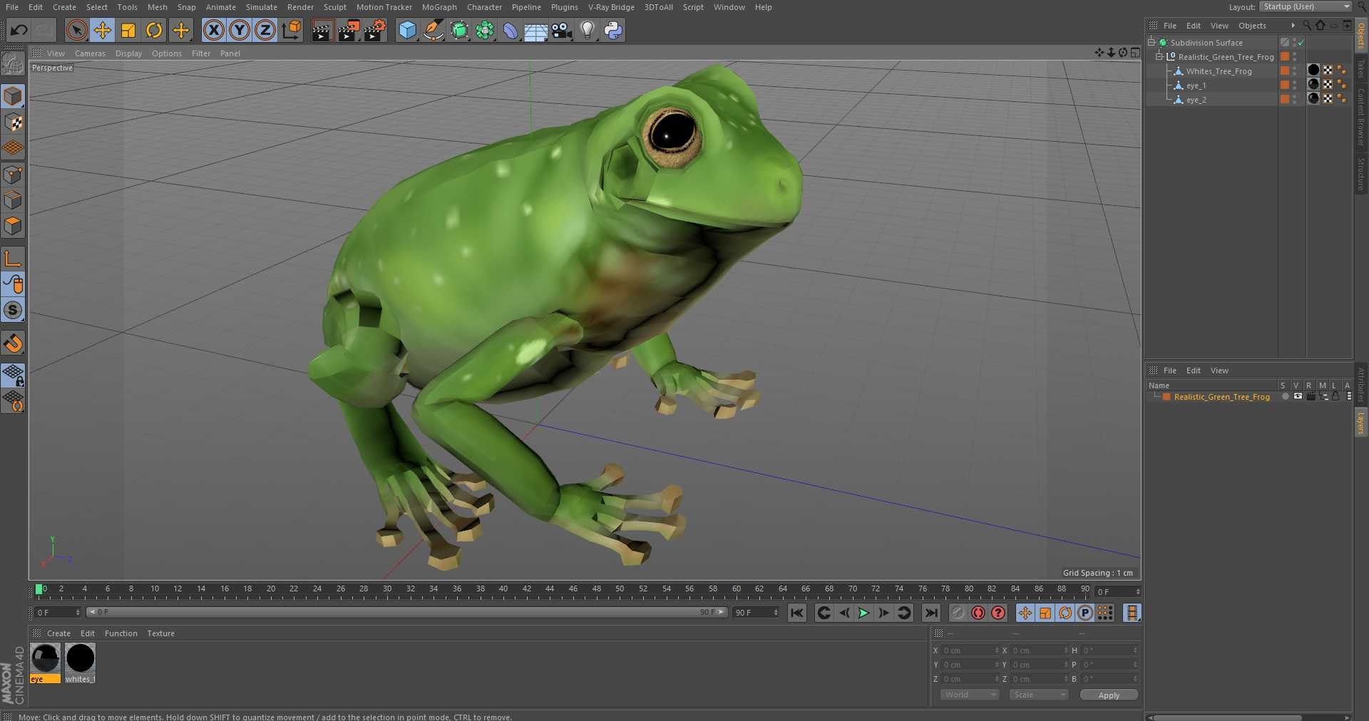 3D Realistic Green Tree Frog Model - TurboSquid 2249637