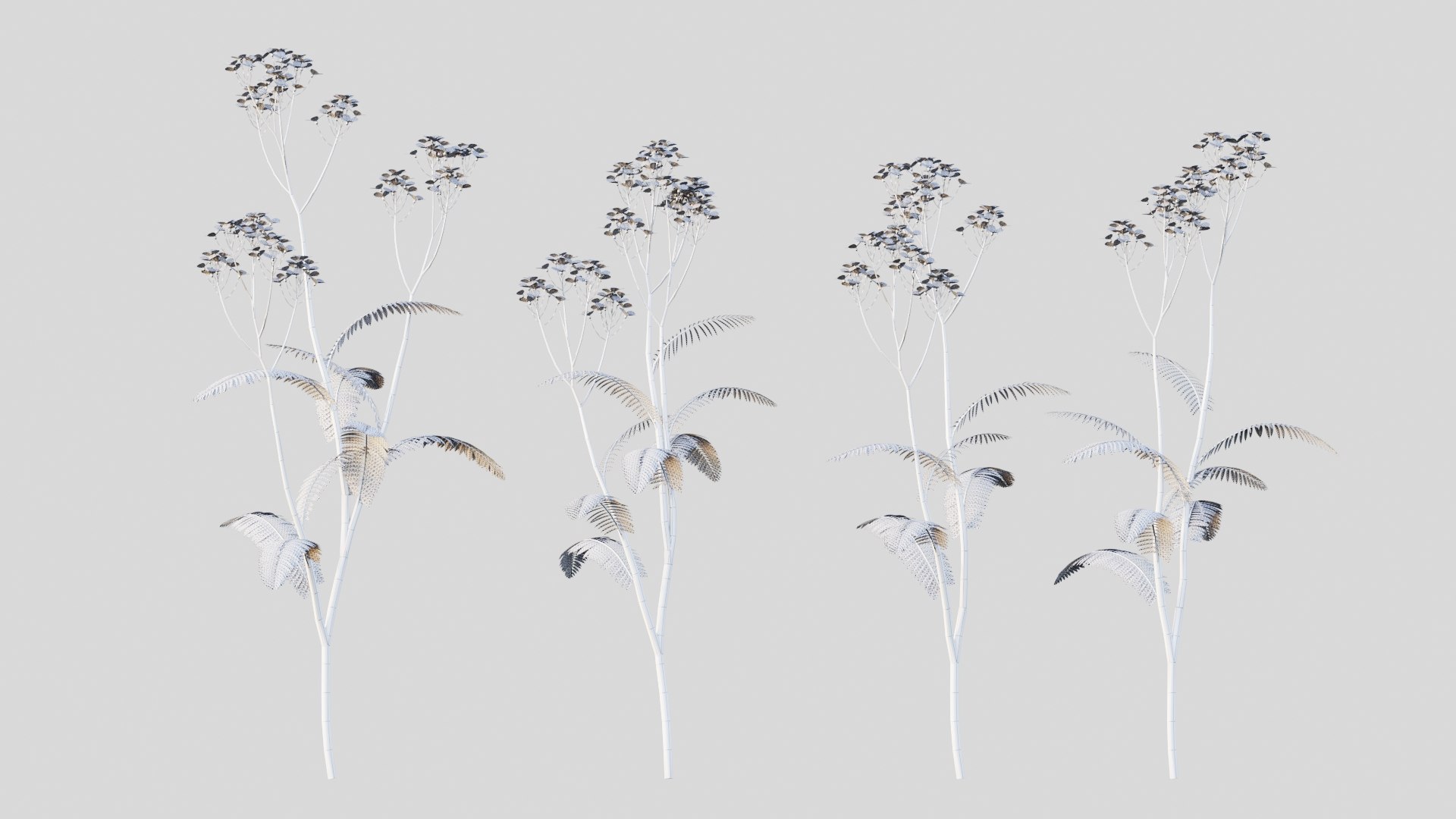 3D Yarrow Model - TurboSquid 1864996