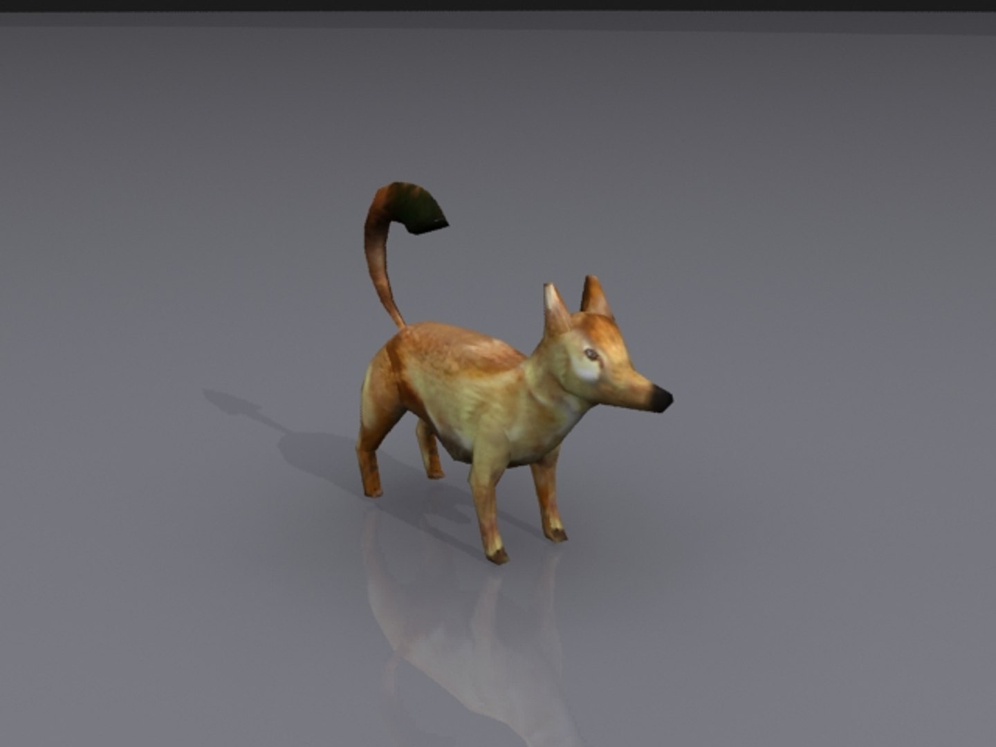 Fox 3d Model