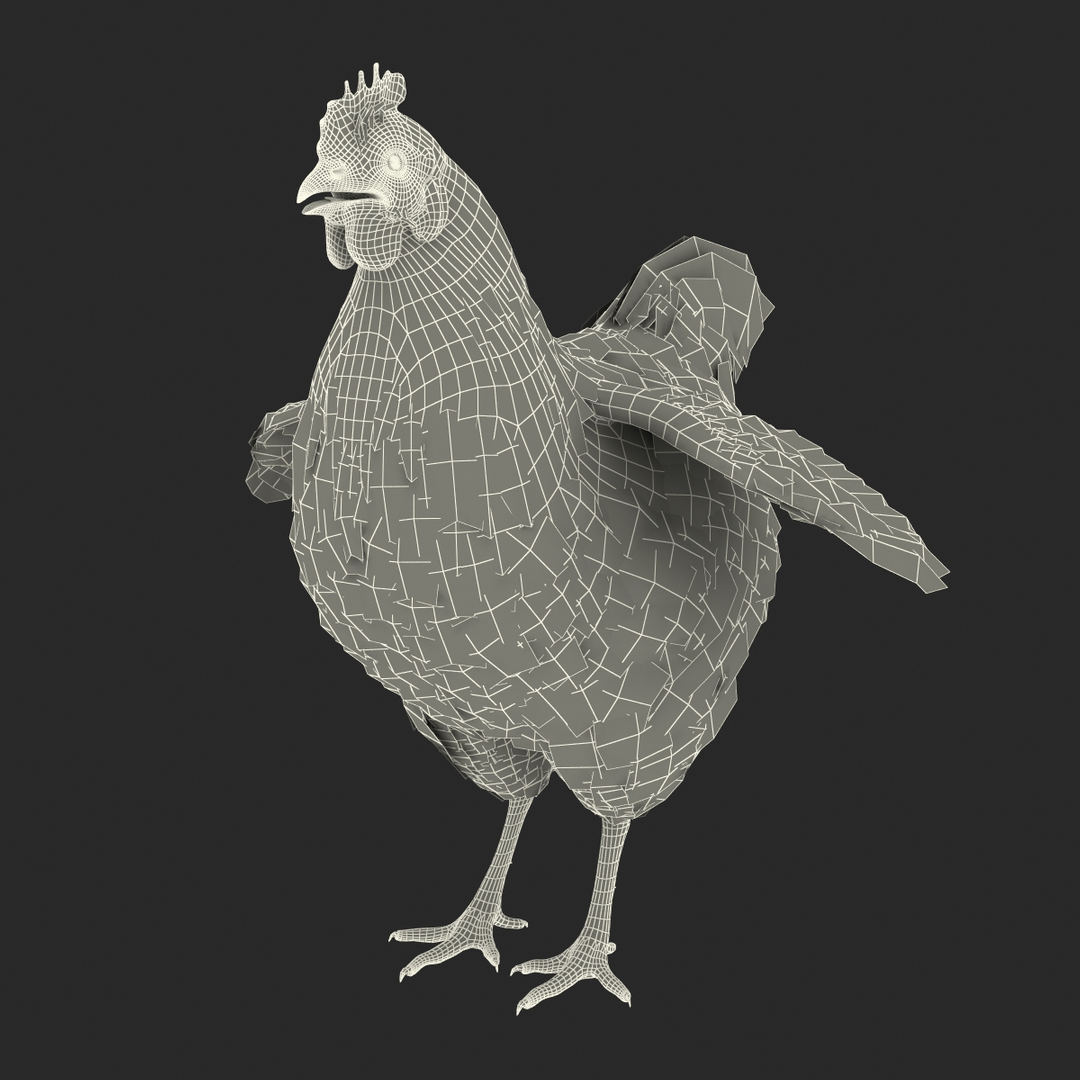 3D Chicken Rigged Model - TurboSquid 1149370