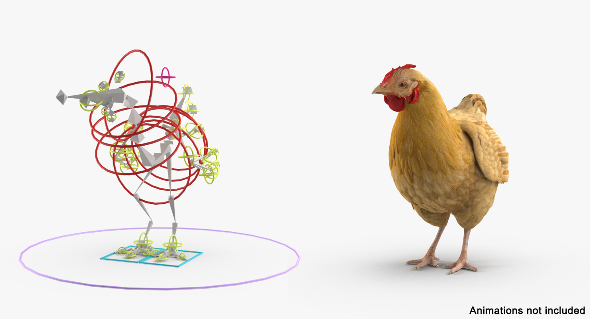 3D Chicken Rigged Model - TurboSquid 1149370