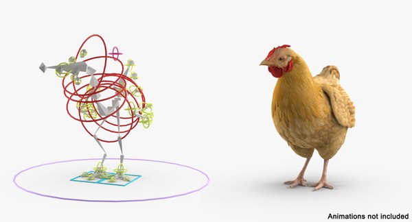 3D chicken rigged model - TurboSquid 1149370