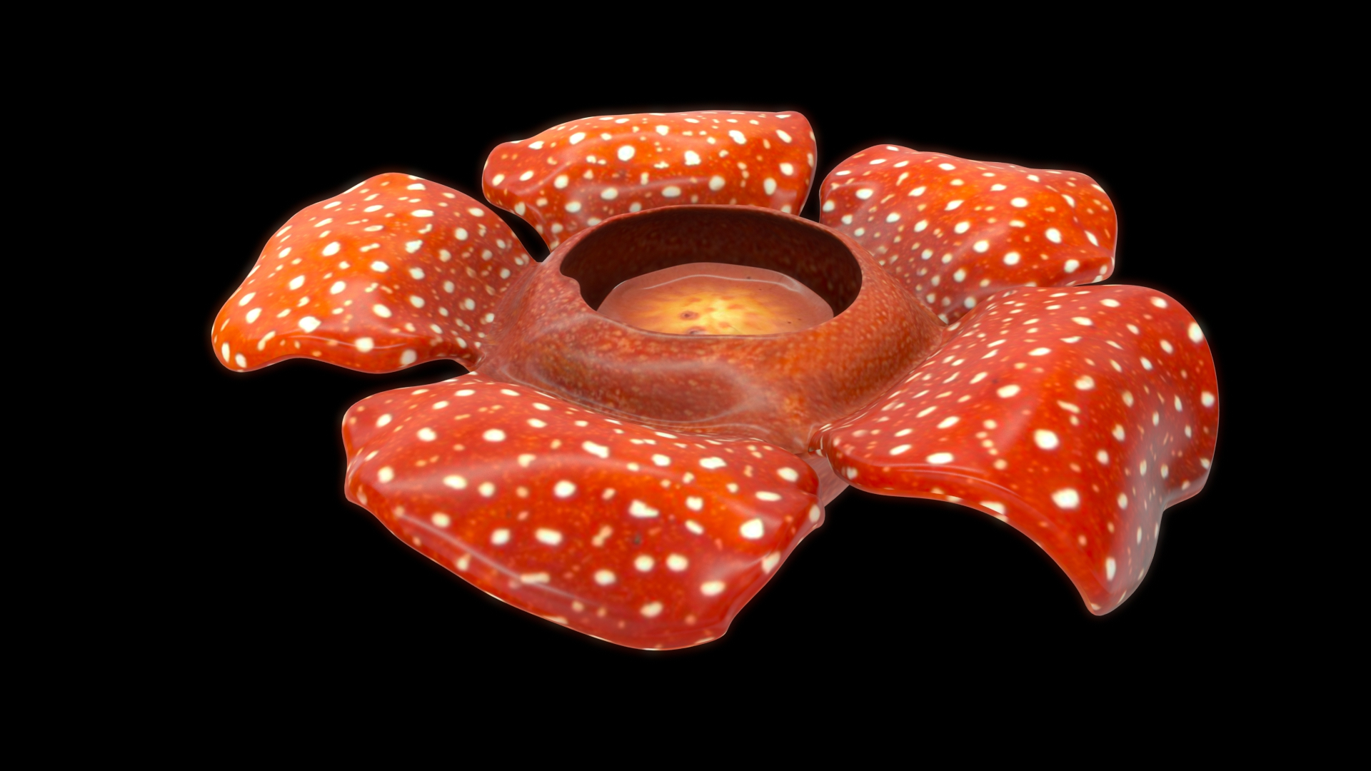 3D Rafflesia Flower - TurboSquid 2207008