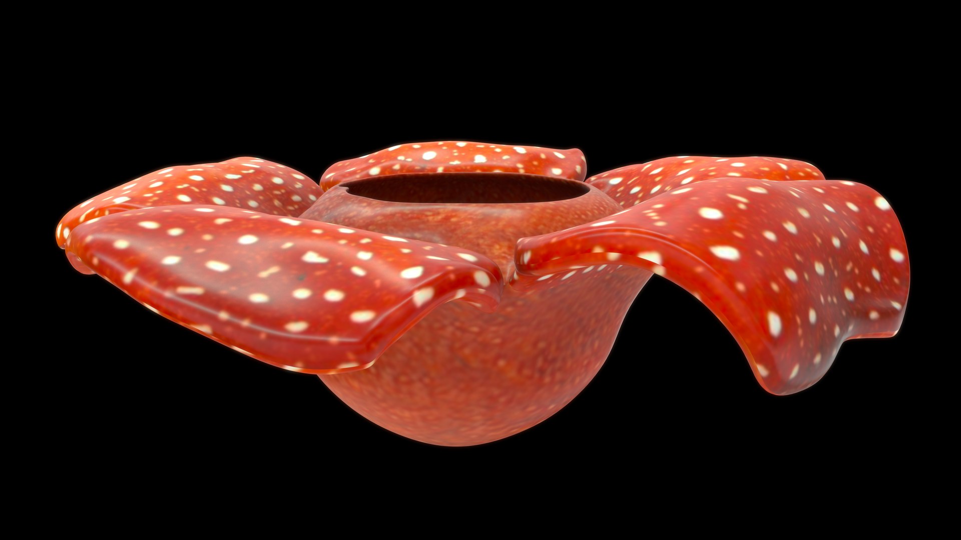 3D Rafflesia Flower - TurboSquid 2207008