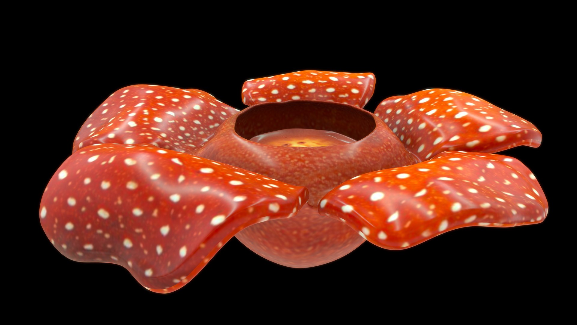 3D Rafflesia Flower - TurboSquid 2207008